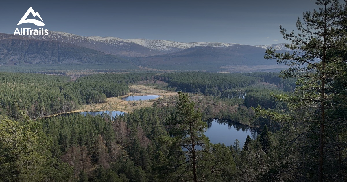 10 Best Trails, Walks, and Paths in Kingussie | AllTrails