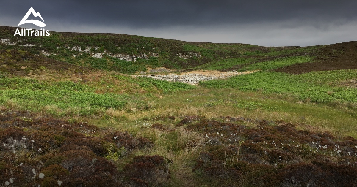 Best Trails, Walks, and Paths in Lybster | AllTrails