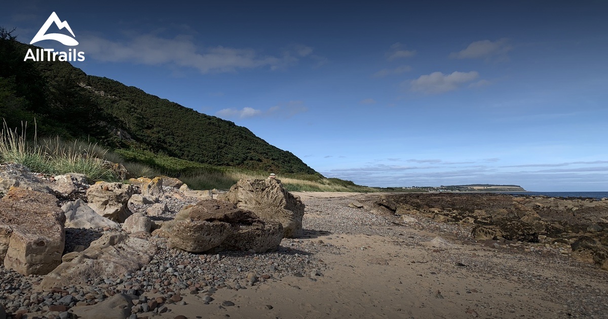 Best mountain biking trails in Tain | AllTrails