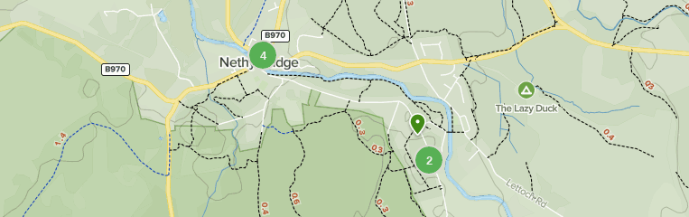 10 Best Trails and Hikes in Nethy Bridge | AllTrails