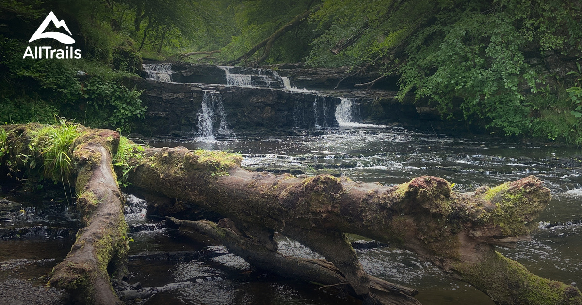 Best Trails, Walks, and Paths in Dalry | AllTrails