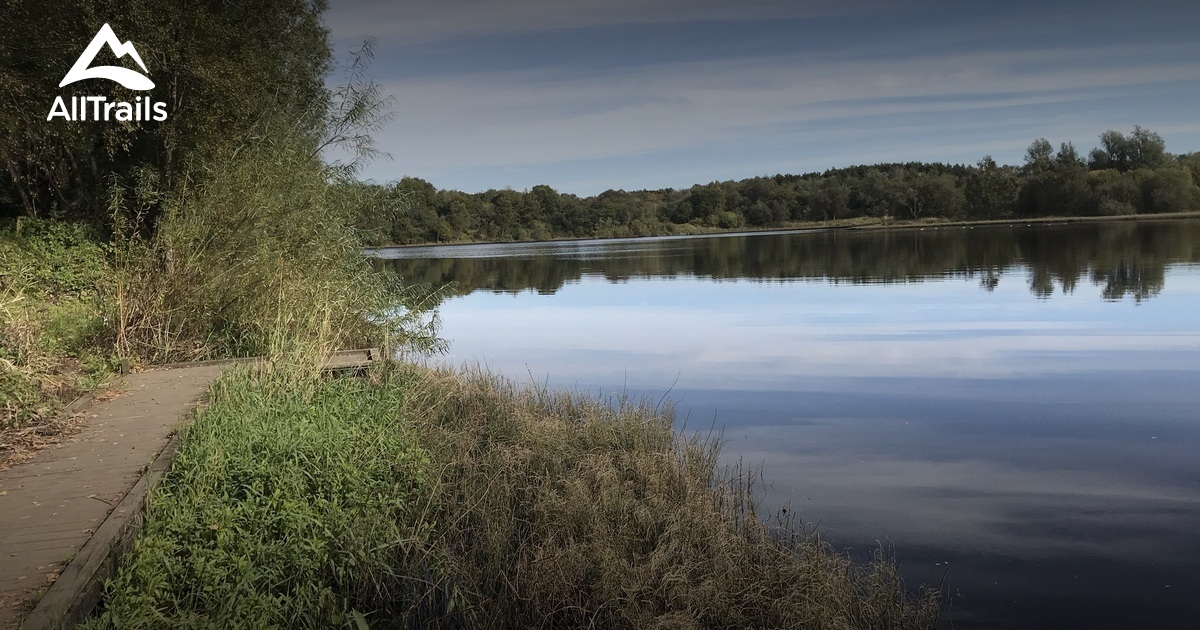 De beste skogsstiene i Kilwinning | AllTrails