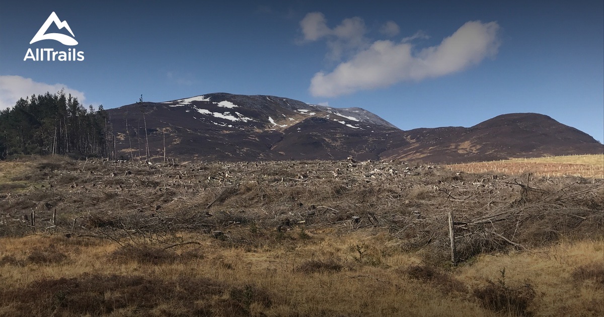 10 Best Trails, Walks, and Paths in Aberfeldy | AllTrails