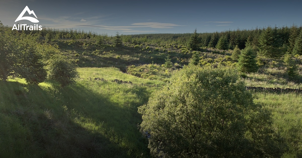 Best easy trails in Johnstone | AllTrails
