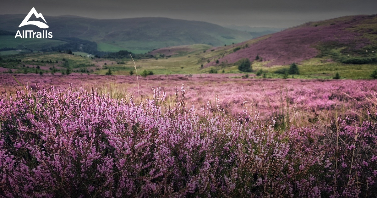 Best Trails, Walks, and Paths in Bowhill | AllTrails