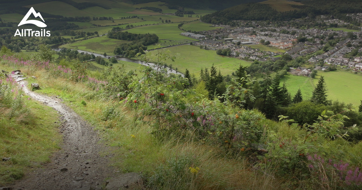10 Best Trails, Walks, and Paths in Innerleithen | AllTrails