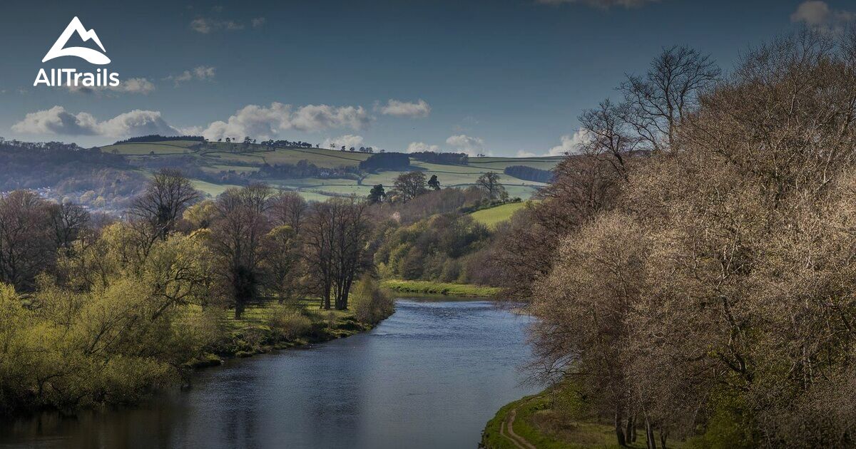 10 Best Trails, Walks, and Paths in Melrose | AllTrails