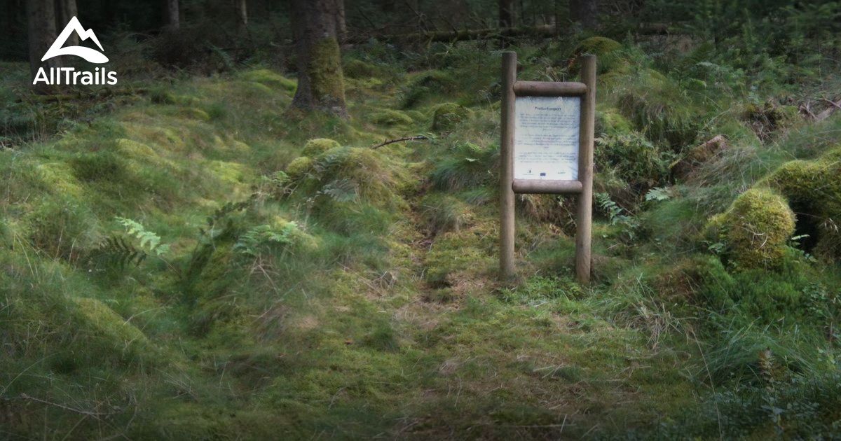 Best hikes and trails in Newcastleton | AllTrails