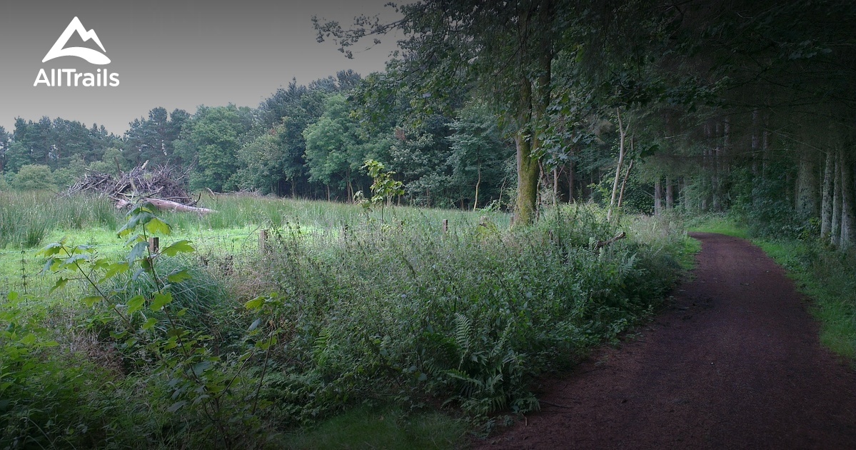 10 Best trails and hikes in Hamilton | AllTrails