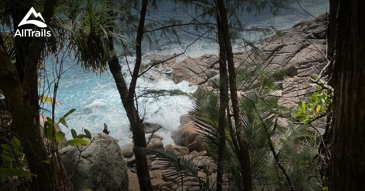 Best Trails, Walks, and Paths in Pointe Au Sel | AllTrails