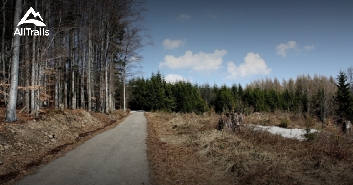 Bästa svåra lederna i Kľak | AllTrails