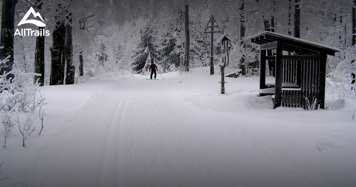 Best hikes and trails in Králiky | AllTrails