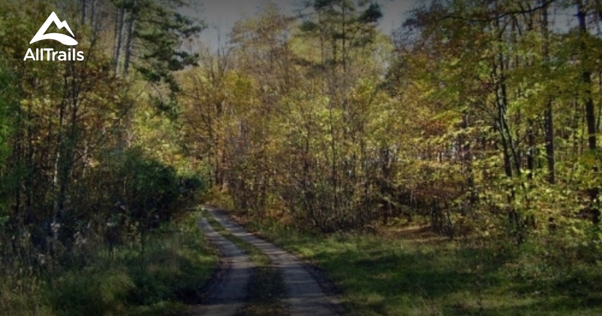 Slavec: as melhores trilhas com flores silvestres | AllTrails