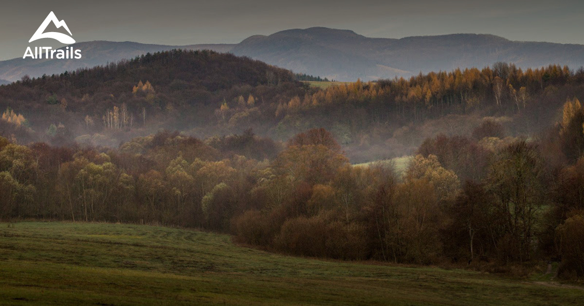 Best forest trails in Juskova Voľa | AllTrails