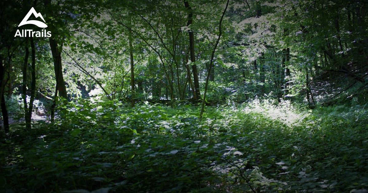 Best hikes and trails in Ľubovec | AllTrails