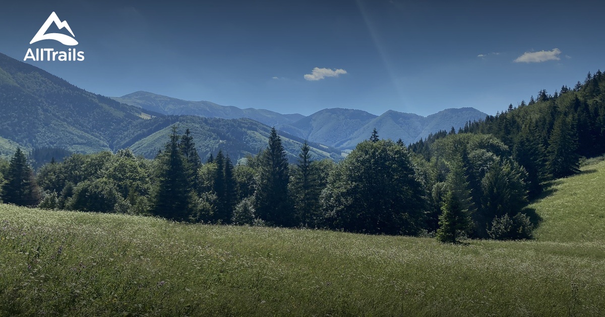 10 Best Trails, Walks, and Paths in Terchová | AllTrails