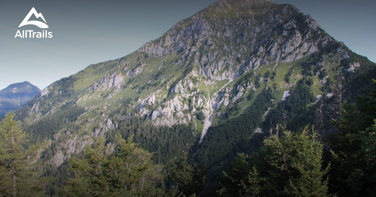 I migliori sentieri di osservazione della flora selvatica in Preddvor ...