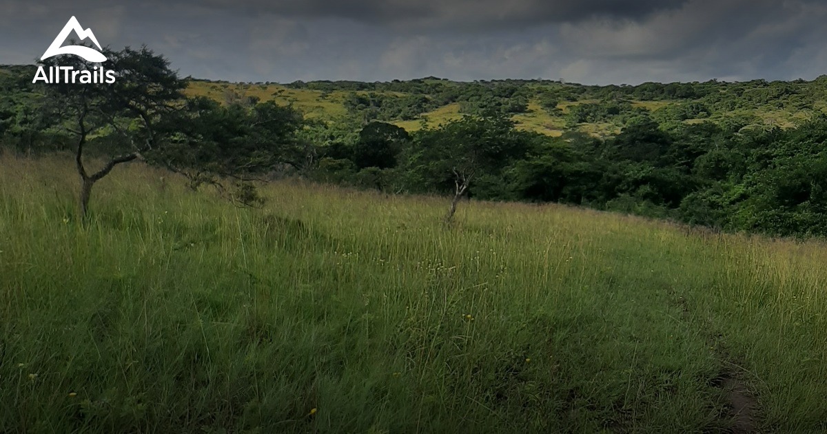 Best hikes and trails in Cintsa West | AllTrails