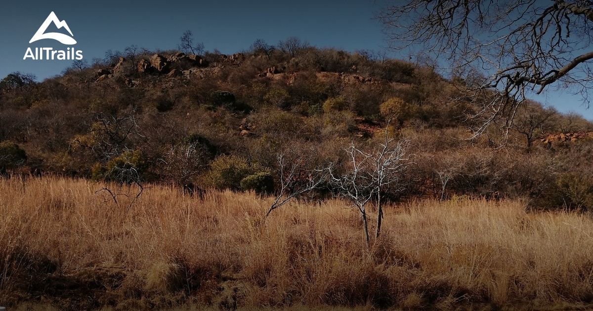 Best hikes and trails in Germiston | AllTrails