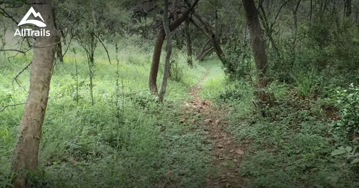 Best hikes and trails in Roodeplaat | AllTrails