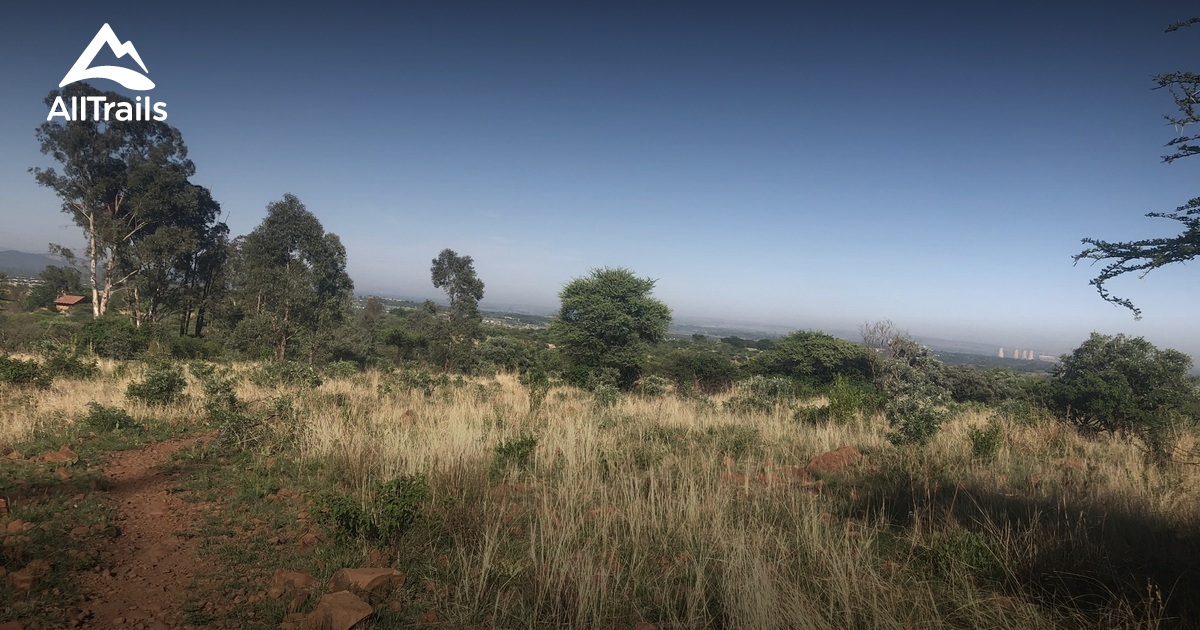 Best hikes and trails in Wallmannsthal | AllTrails