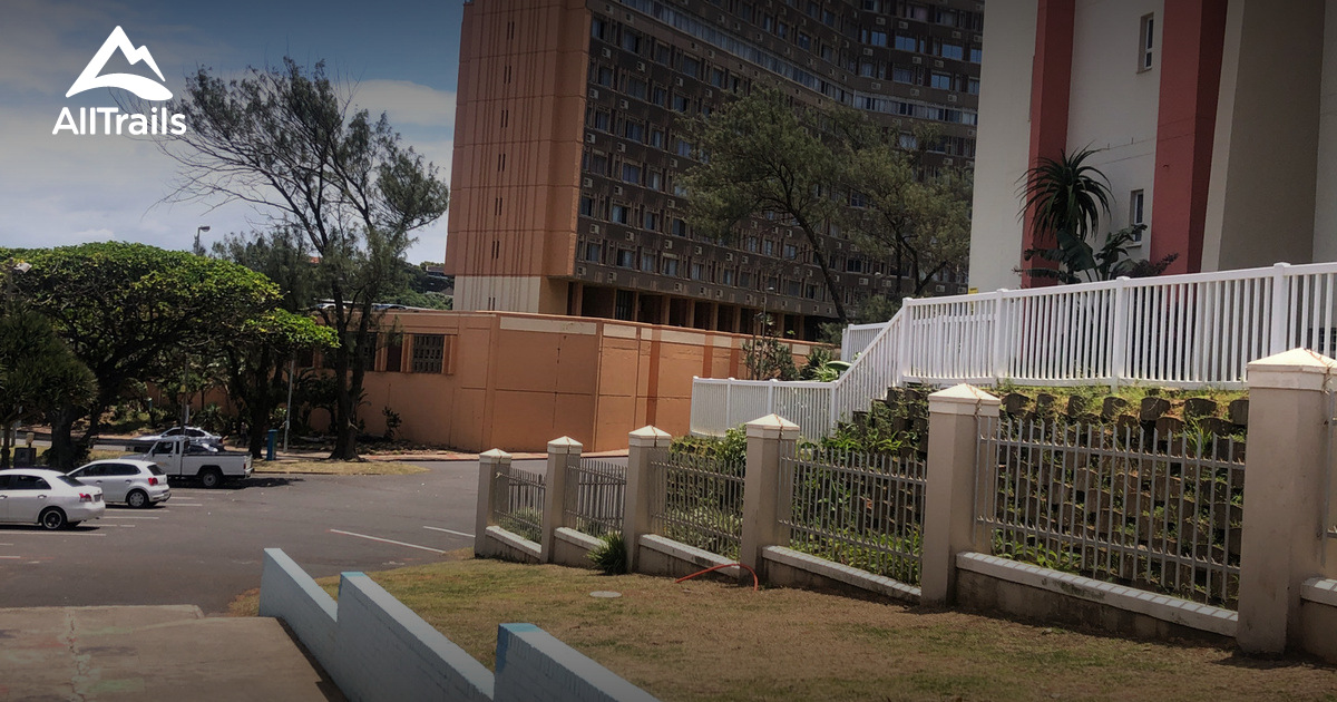 10 Best forest trails in Durban | AllTrails