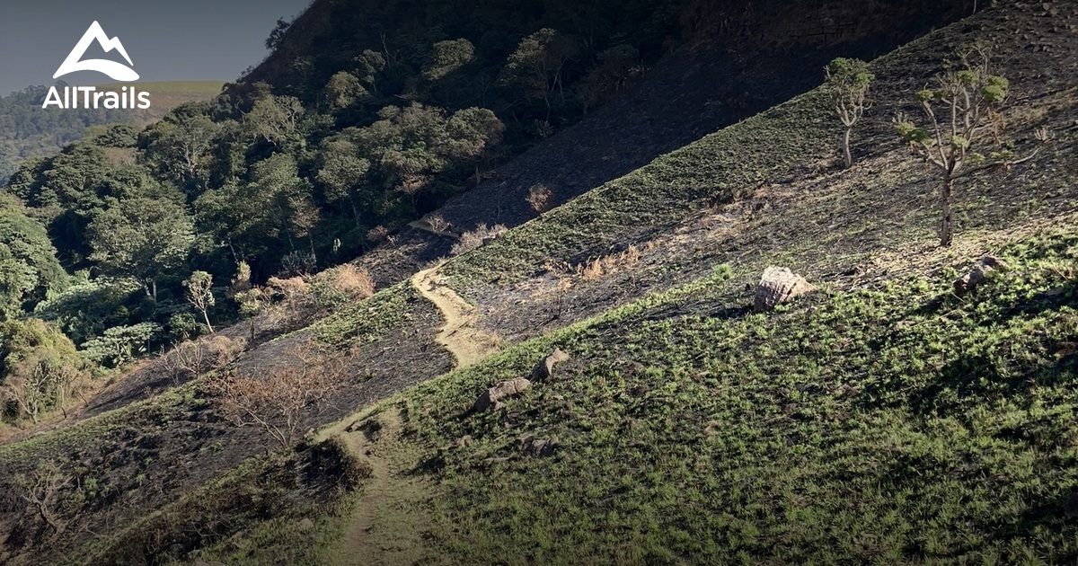 Best hikes and trails in Gillitts | AllTrails