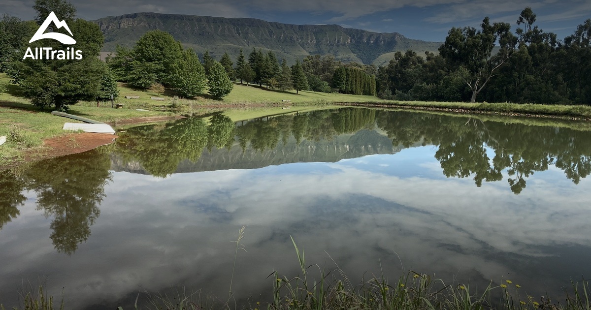 Best walking trails in Mooi Rivier | AllTrails
