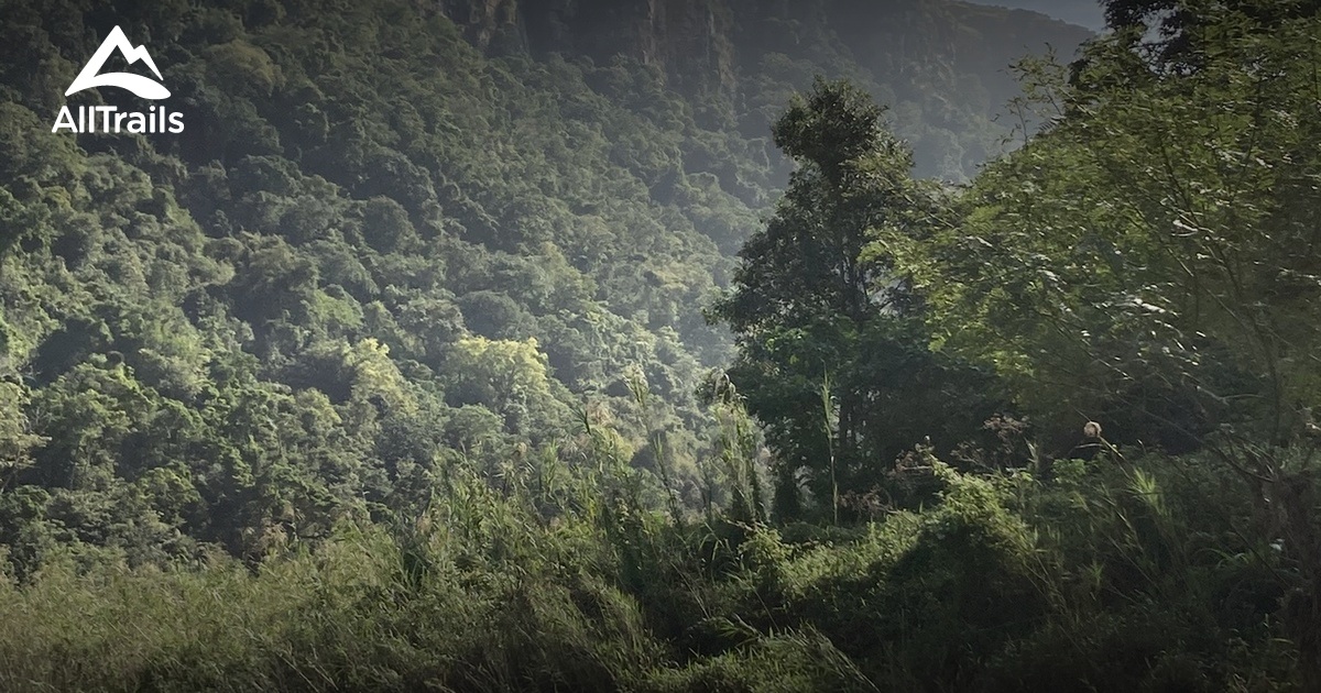 Best hikes and trails in Port Edward | AllTrails