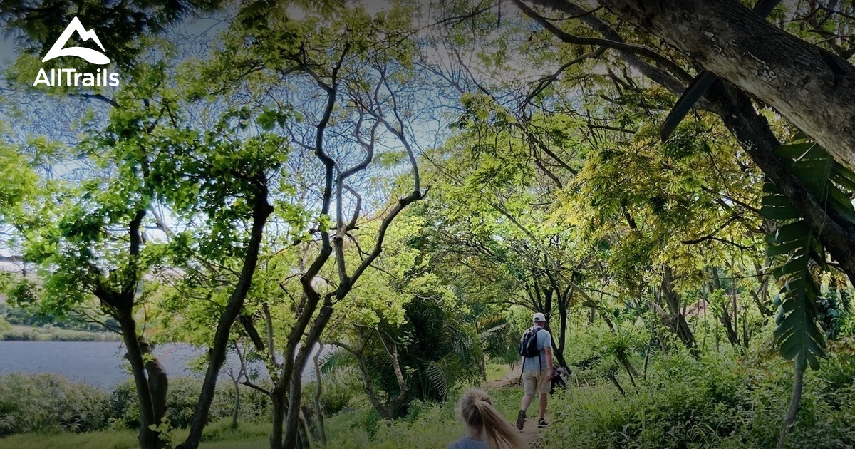 Best hikes and trails in Umhlali | AllTrails