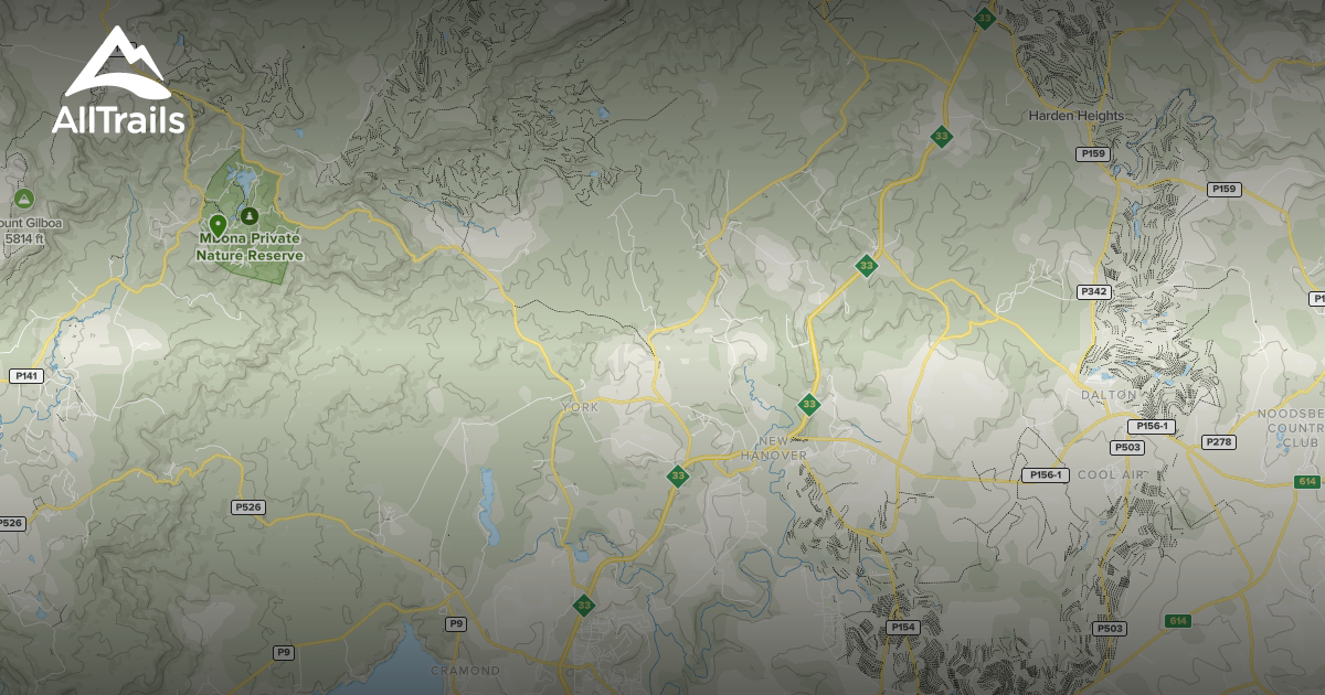 Best forest trails in uMshwathi NU | AllTrails