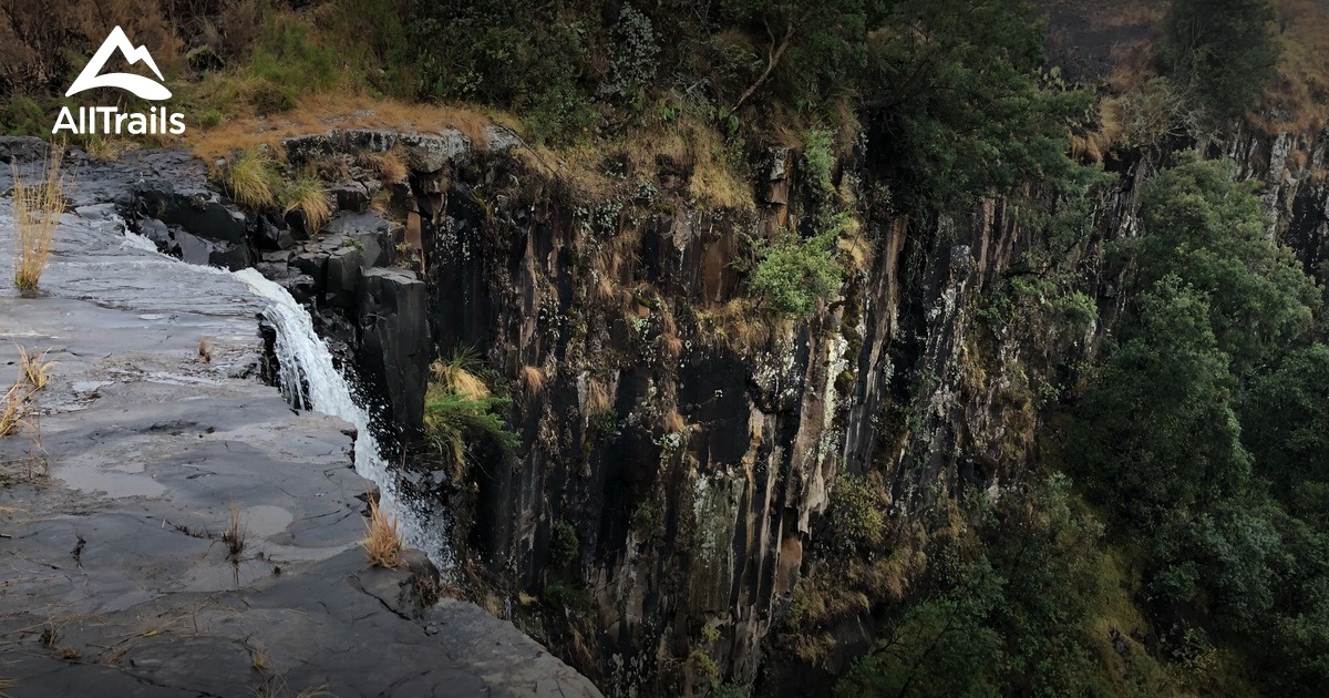 Best hikes and trails in Winterton | AllTrails