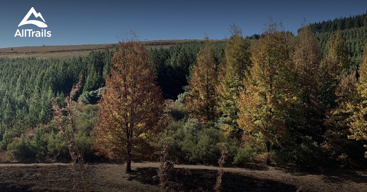 Best hikes and trails in Haenertsburg | AllTrails