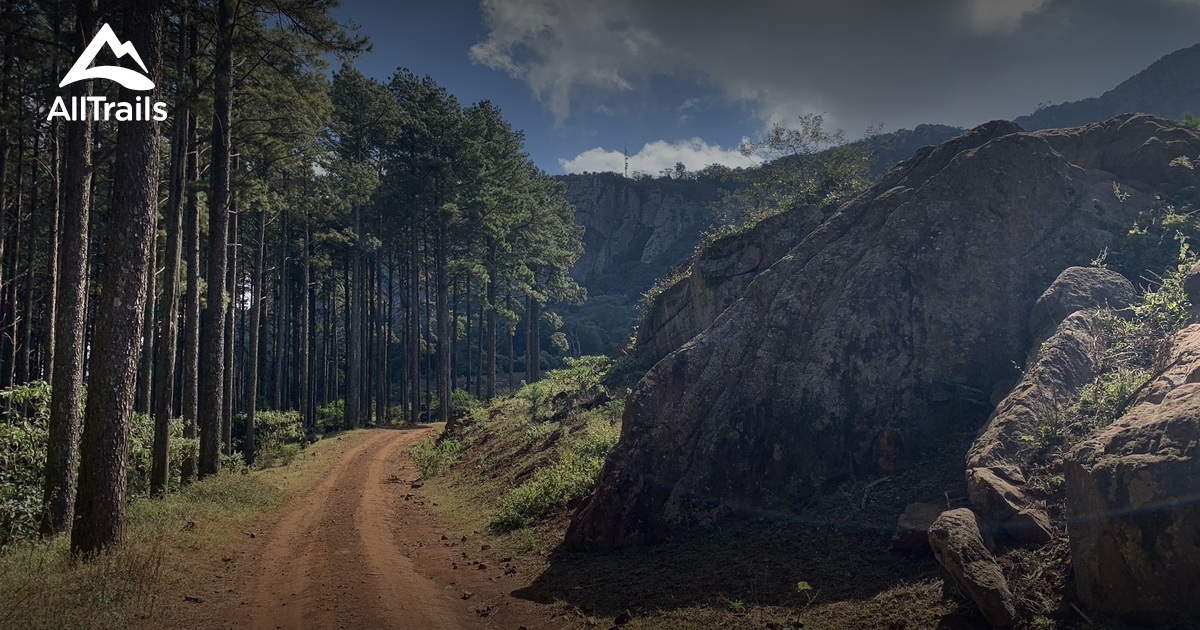 Best hikes and trails in Makhado | AllTrails