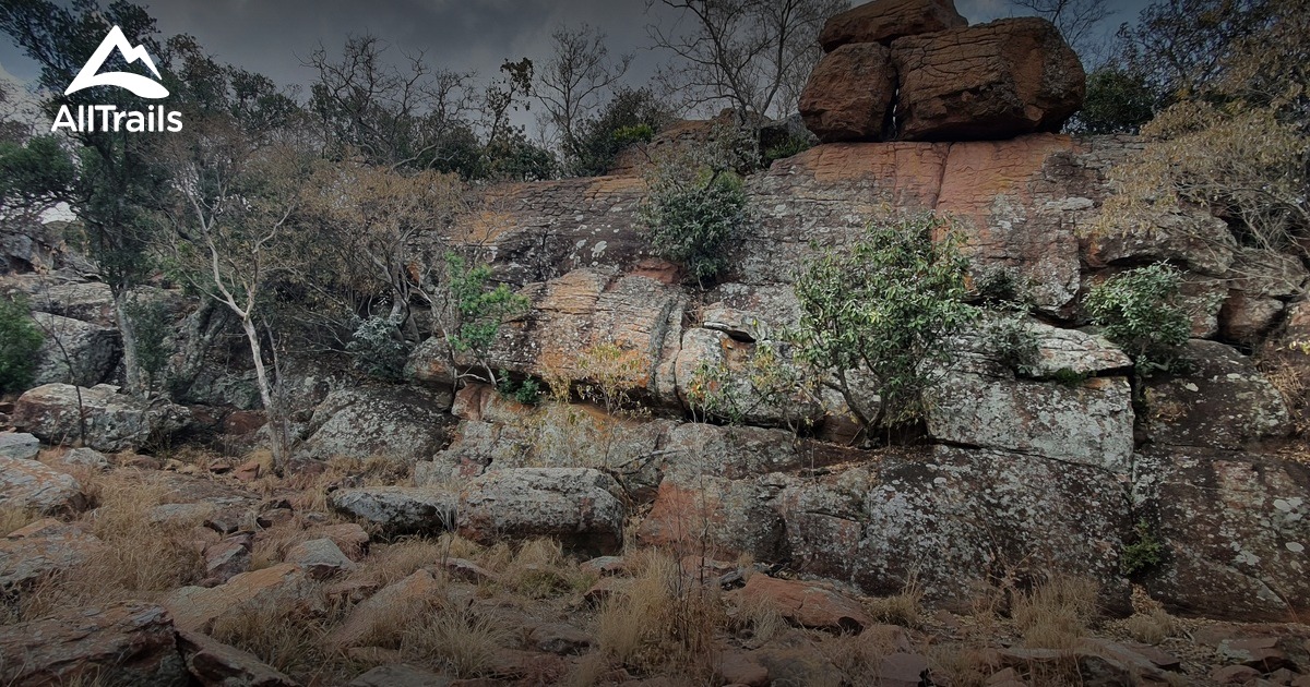 2023 Best Wild Flowers Trails in Modimolle Munic NU | AllTrails