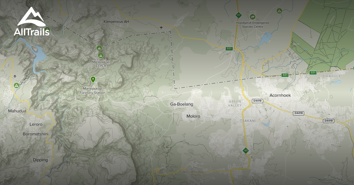 Best hikes and trails in Mariepskop State Forest | AllTrails