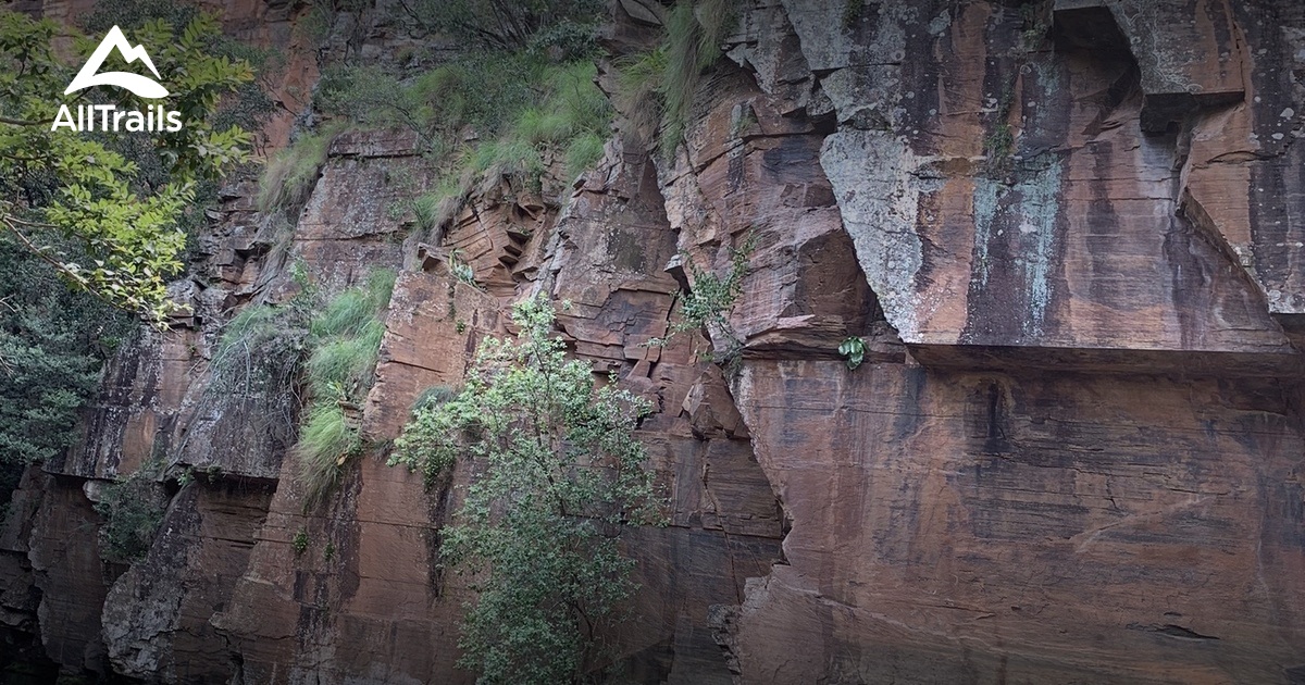 Best hikes and trails in Groot Marico | AllTrails