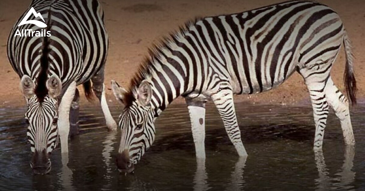 Best hikes and trails in Kimberley | AllTrails