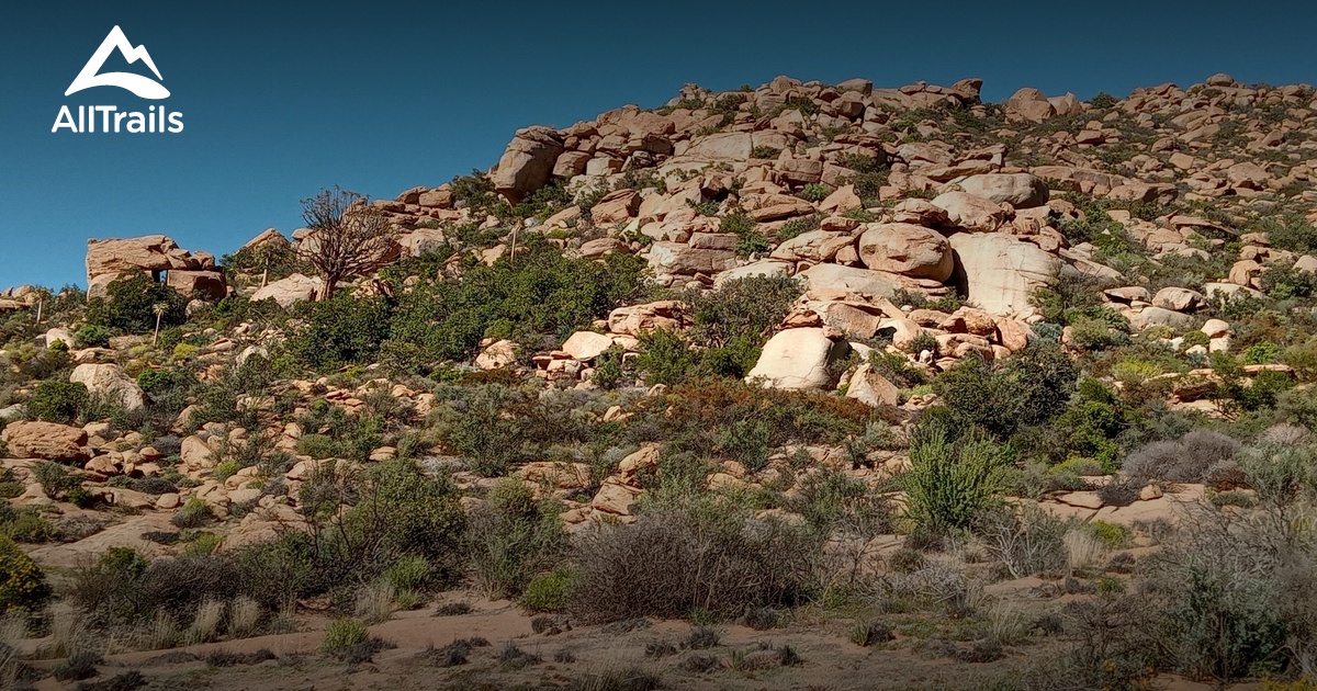 Best wildflower trails in Nababeep | AllTrails