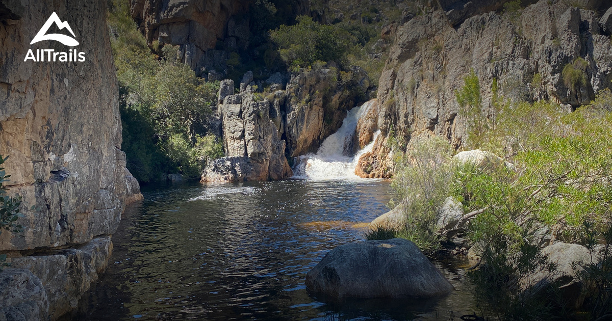 Best wildflower trails in Beaverlac | AllTrails