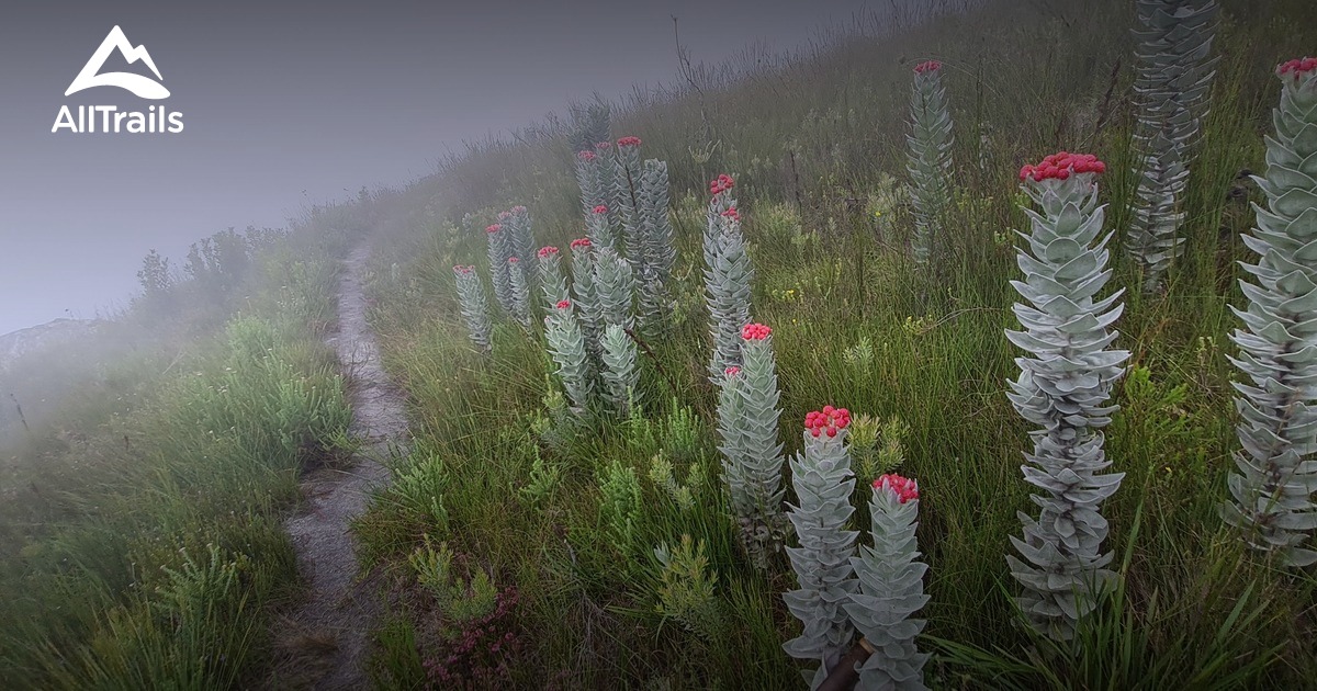 Best hikes and trails in Bonnievale | AllTrails