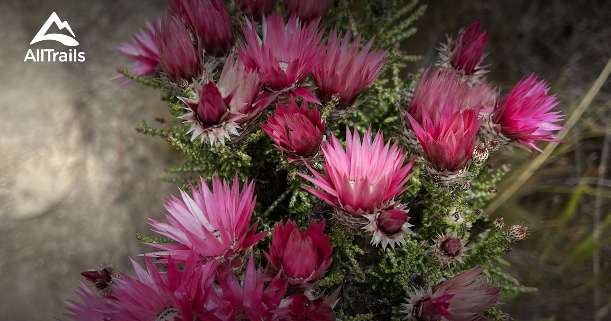 Best hikes and trails in Botrivier | AllTrails