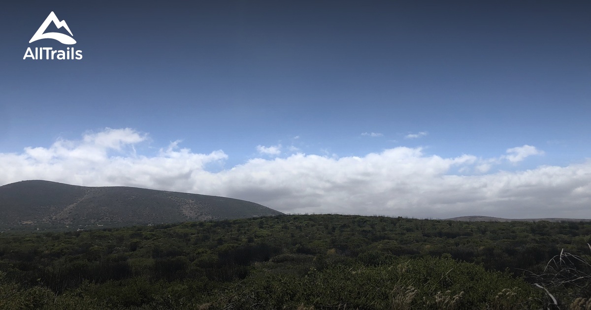 Best easy trails in Cape Metro | AllTrails