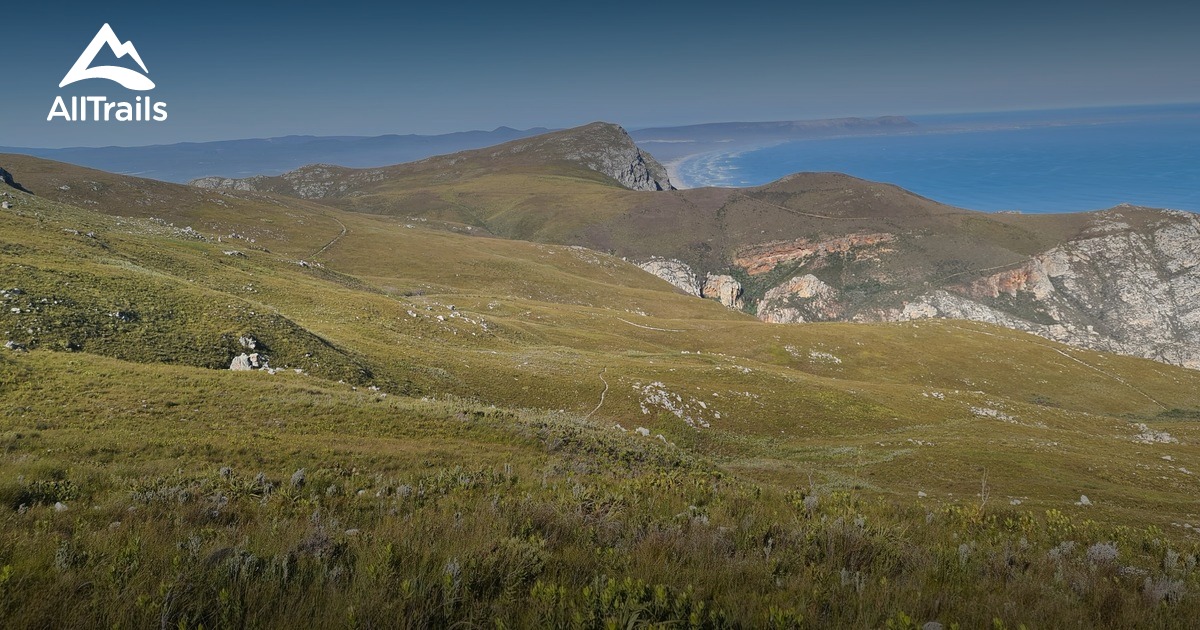 Best wildflower trails in Fernkloof | AllTrails