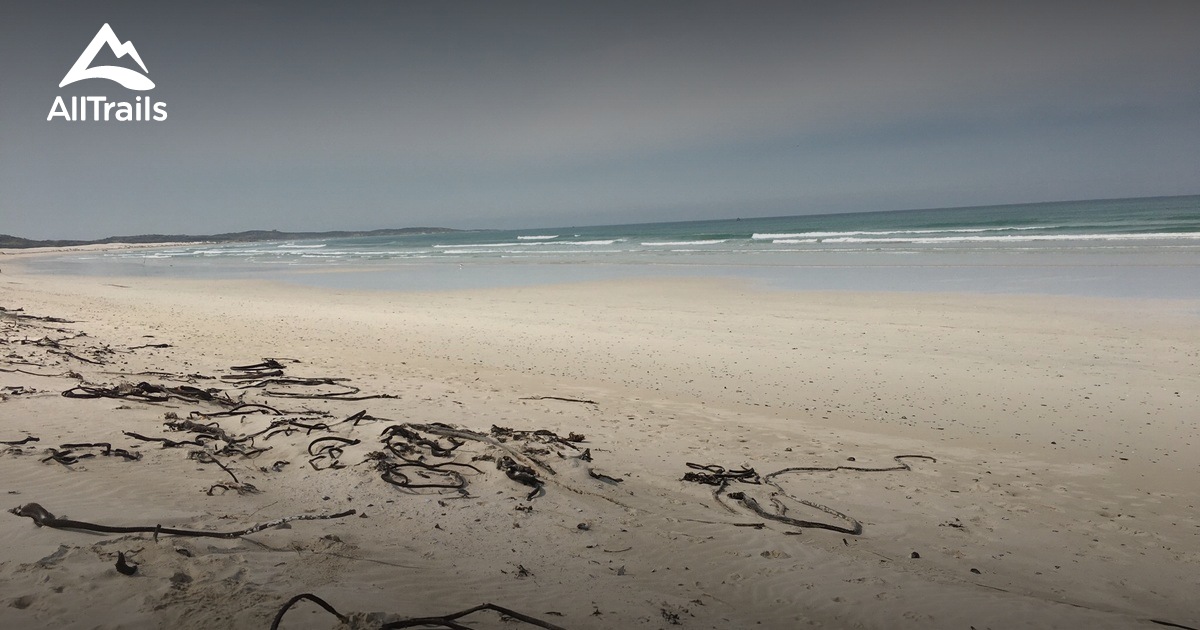 Best hikes and trails in Franskraalstrand | AllTrails