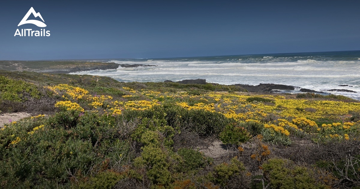 Best hikes and trails in Grotto Bay | AllTrails