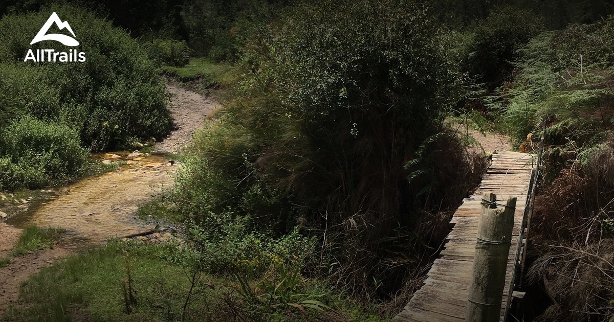 Best hikes and trails in Ruiterbos | AllTrails