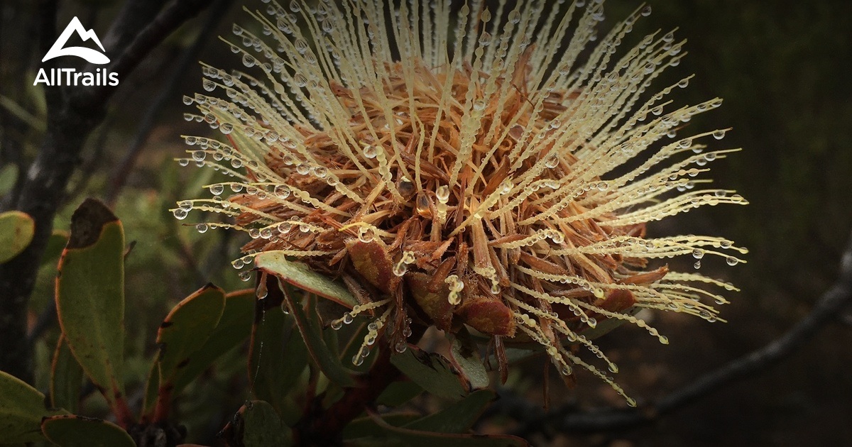 2023 Best Historic Site Trails in Vredendal | AllTrails