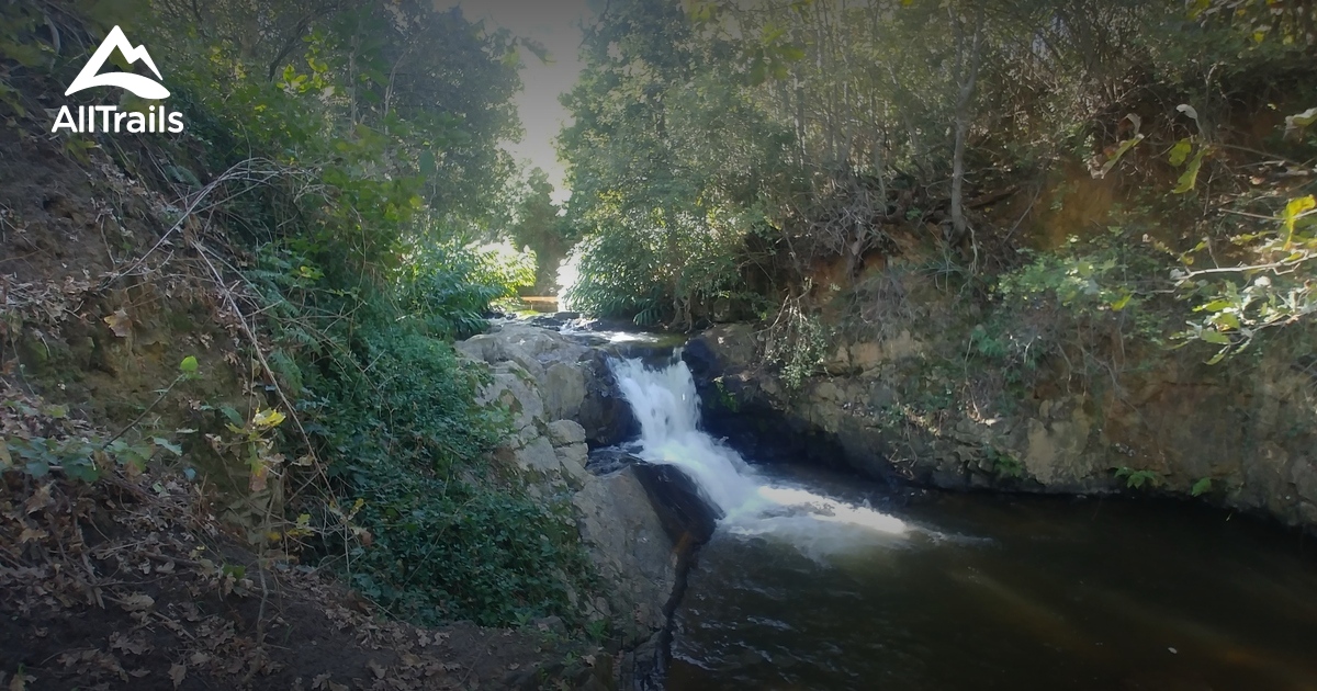 Best moderate trails in Wellington | AllTrails