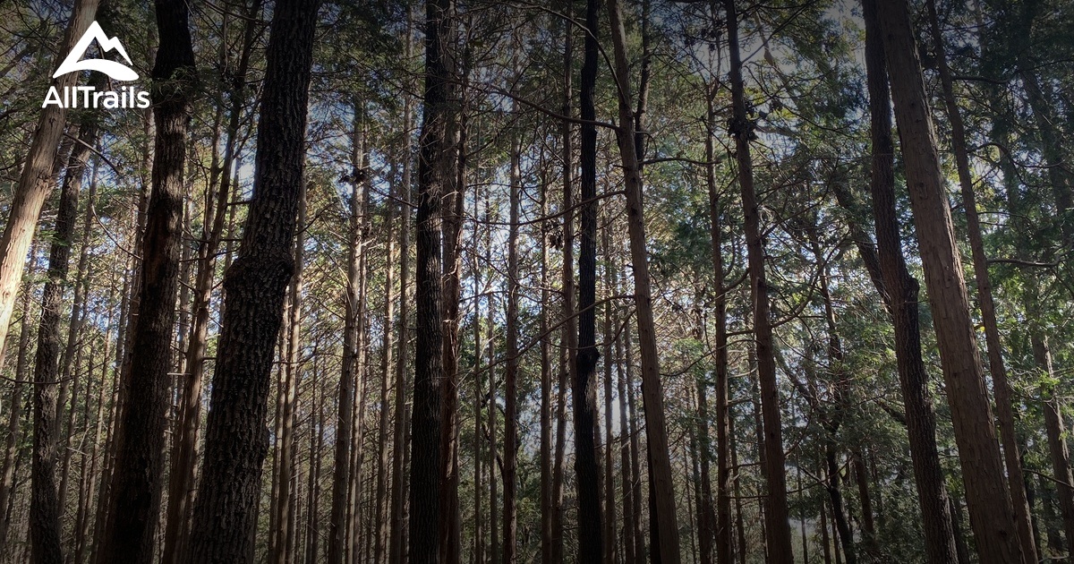 Bedste ruter om søer i Busanjin-gu | AllTrails